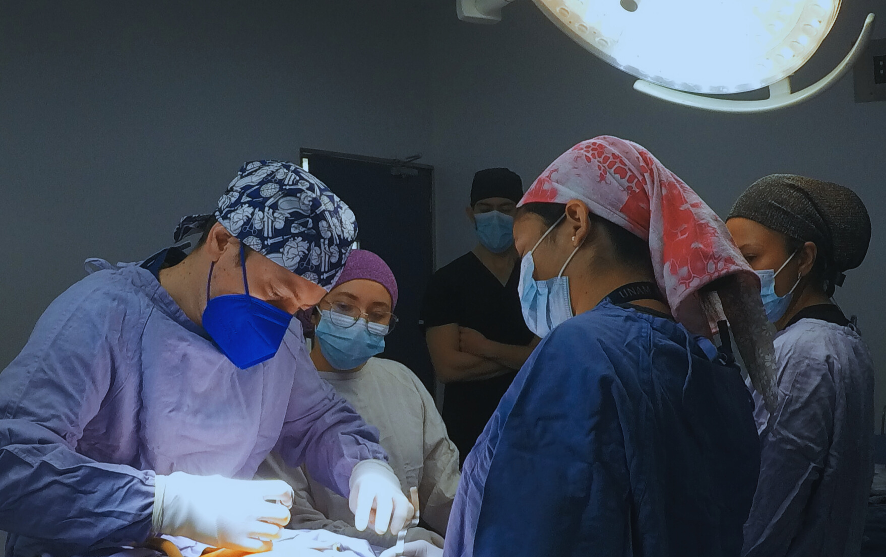 Manejo de patologías, afecciones y padecimientos gastrointestinales